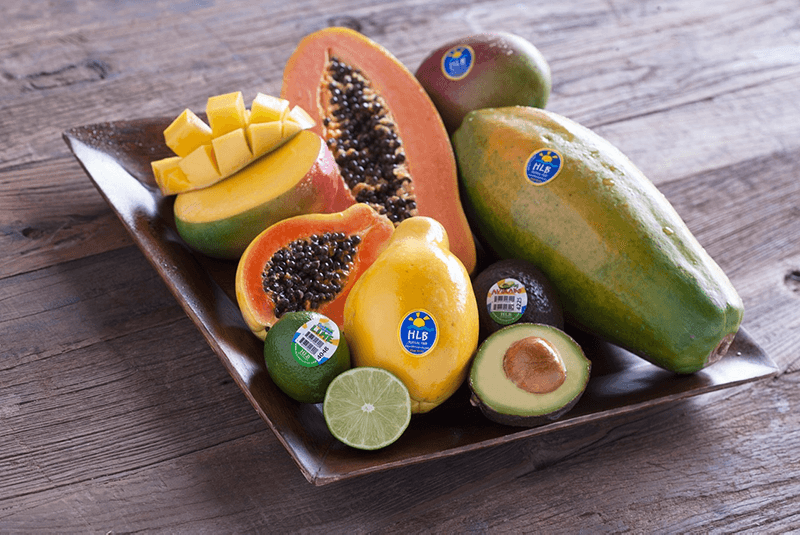 Trending tropicals | The Packer