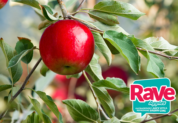 Rave apples drive Instagram campaign | The Packer