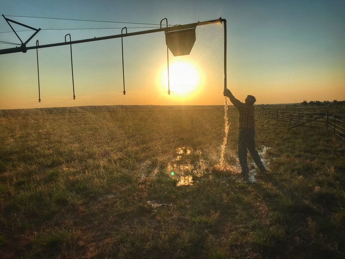 Water Your Crops … and Your Cows | Dairy Herd