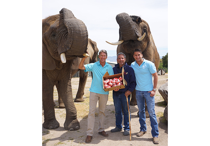 Christopher Ranch raises money to protect elephants | The Packer