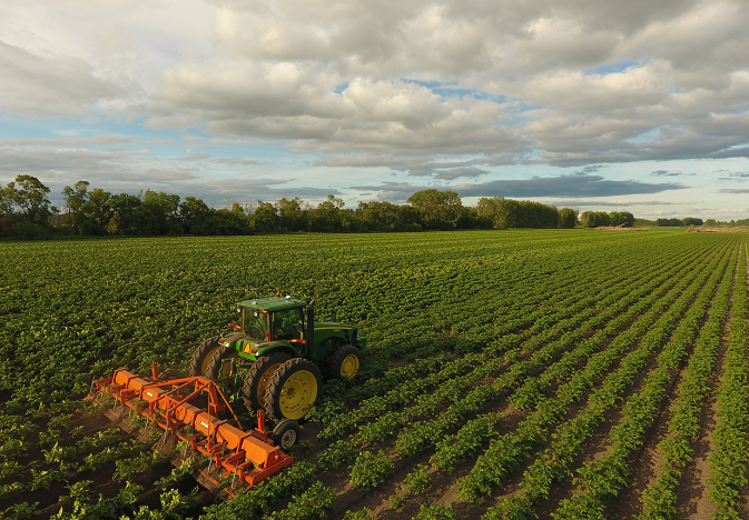 Potato Sustainability Alliance set to tell industry’s story | The Packer