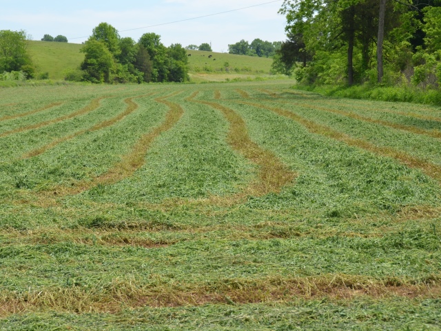 Hay Moisture Levels: How Wet Is Too Wet? | AgWeb