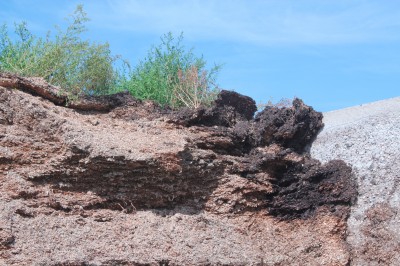 Managing Bunk Silos for Maximum Forage Quality - Ukrainian Style | The ...