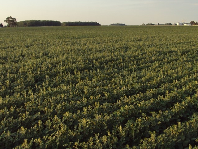 A Guide To Your Dicamba Label | AgWeb