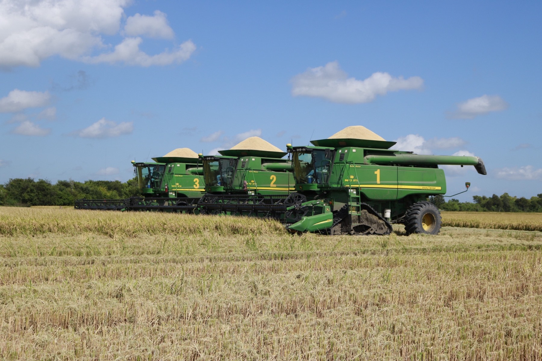 Farmer’s Effort to Give Thanks Explodes into Humanitarian Cause | AgWeb