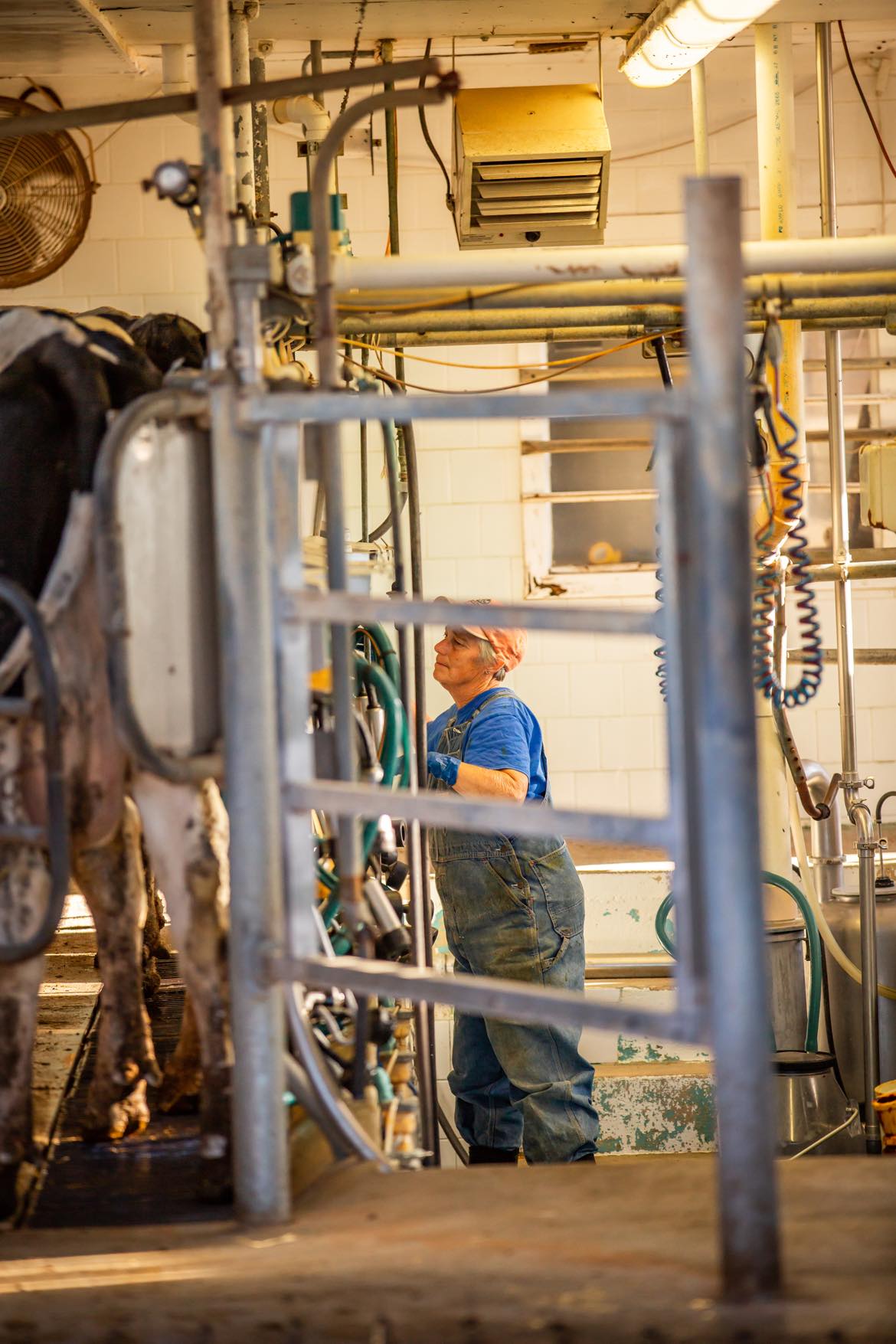 Turning a Secret Garden into a Garden to Share | Dairy Herd