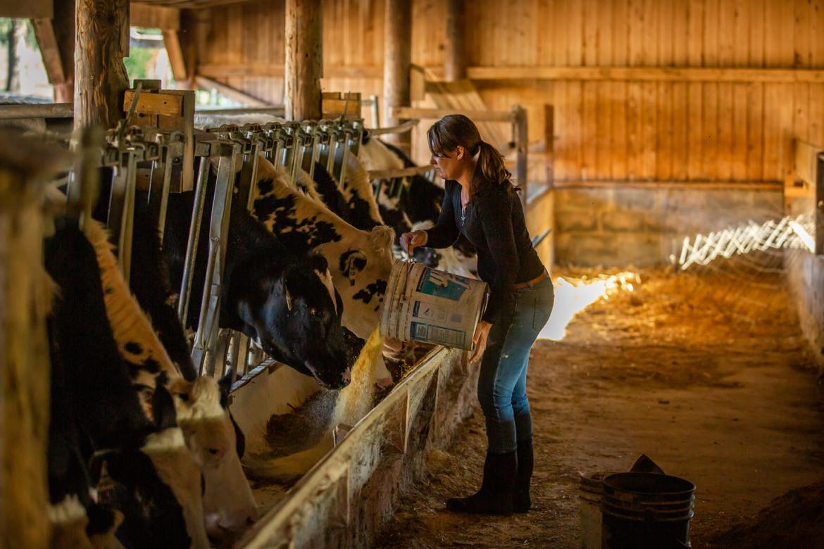 Turning a Secret Garden into a Garden to Share | Dairy Herd