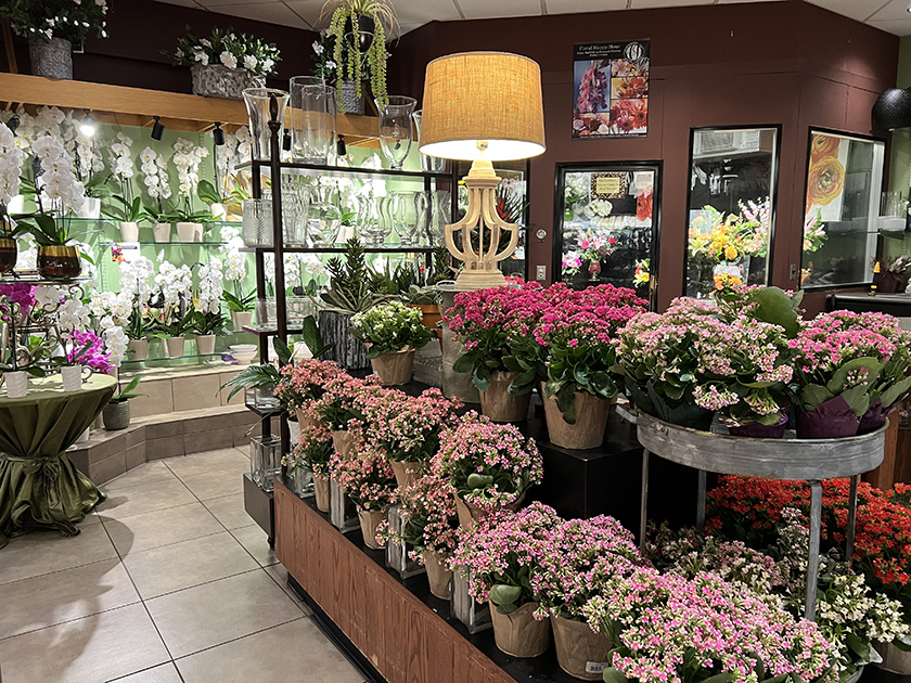 Market Crush: AJ’s dazzles in the desert | The Packer