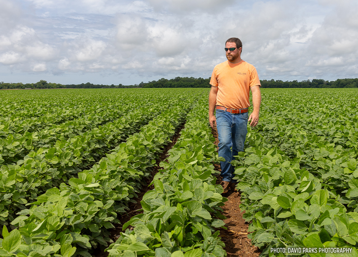 Georgia Farmer Reaps Bigger Yields By Focusing On Better Acres | AgWeb