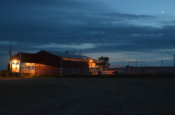 Ranch Life: Shipping Cattle in the Flint Hills of Kansas | Drovers