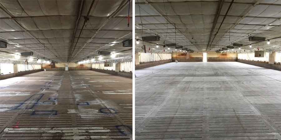 Slat replacement with Altenburg Construction | Pork Business