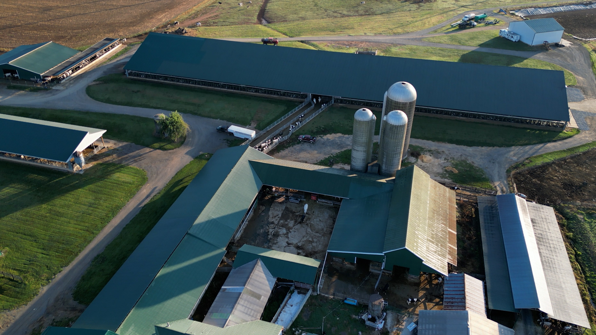 How These Three Dairies Went from Good to Great | Dairy Herd