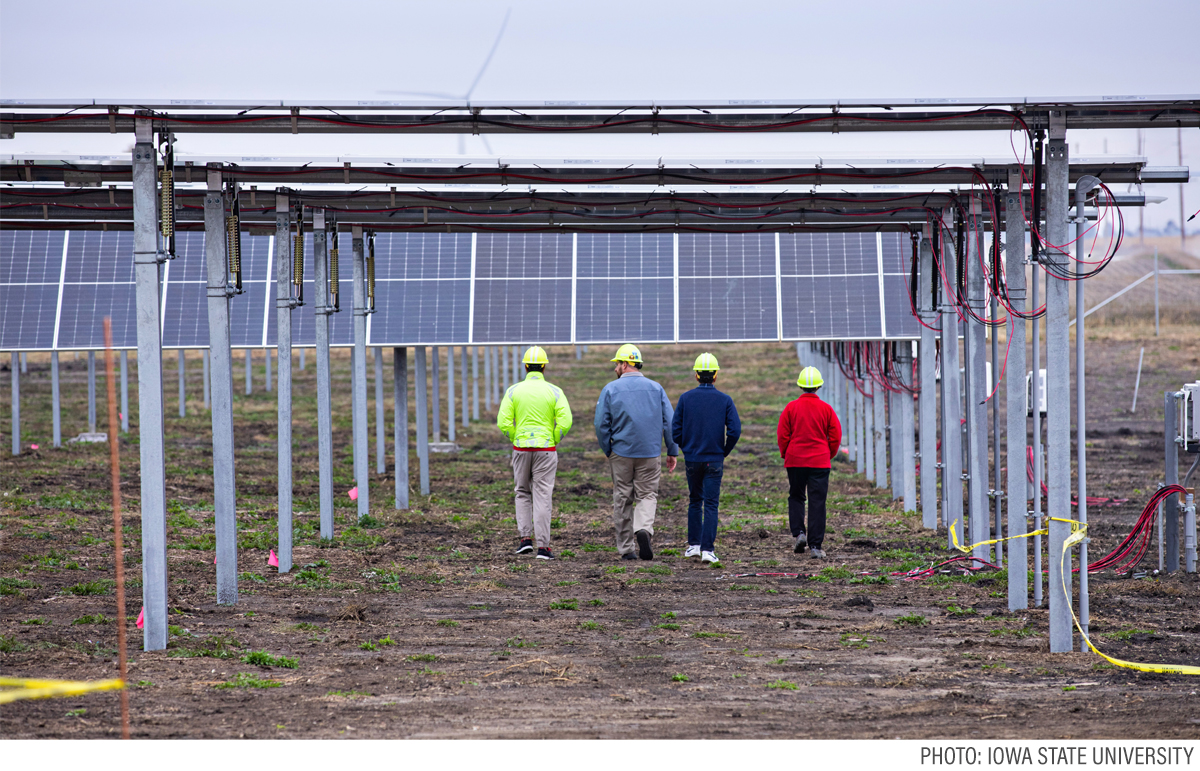 Can Solar and Farming Coexist? | AgWeb