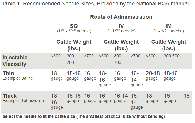 Preconditioning BQA: Maximize Health and Success in the Feed Yard | Drovers