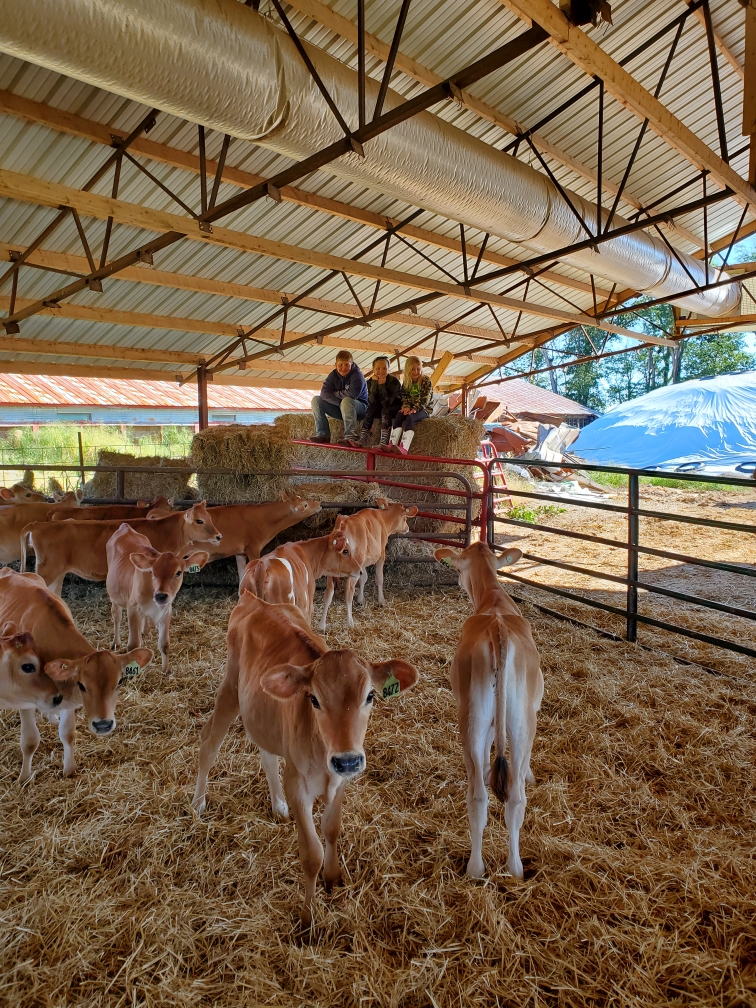 Clover Farms Focuses on Elite Genetics to Push their Operation Forward ...