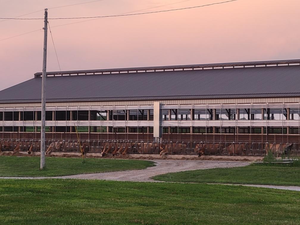 Clover Farms Focuses on Elite Genetics to Push their Operation Forward ...