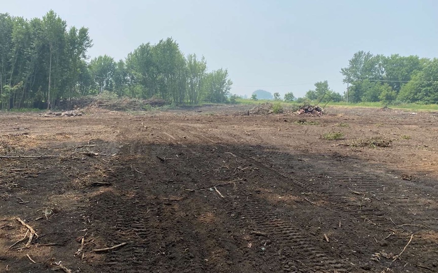 Swampbuster Challenged By Iowa Farmland Owner In Blockbuster Lawsuit ...