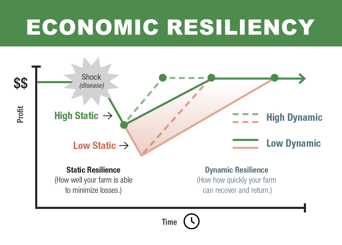 What's the Secret to Economic Resiliency in the Pork Industry? | Pork ...