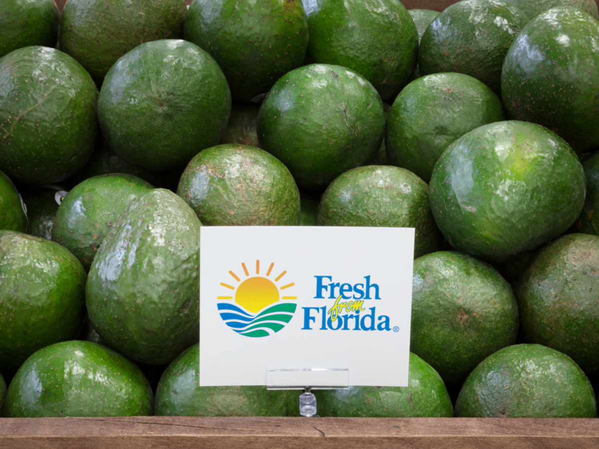 Why stores and restaurants tout Florida avocados | The Packer