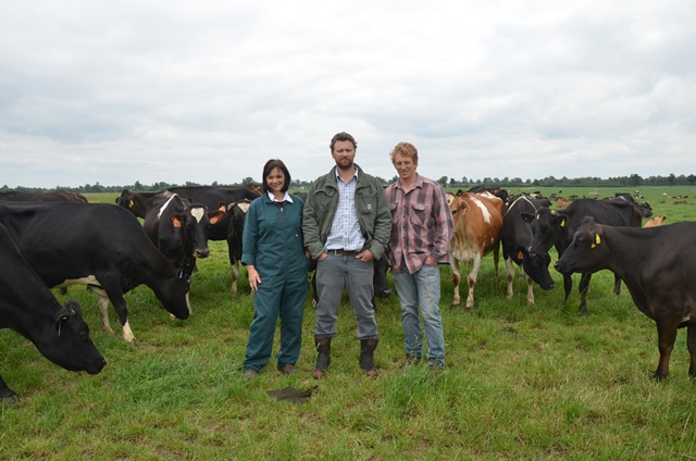 Grazing Helps Boost the Longevity of Cows | AgWeb
