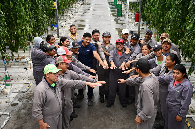 Meet Farmworker of the Year finalist José Luis Segura | The Packer