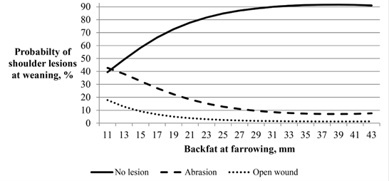 Body Condition Targets to Optimize Sow Well-Being, Reproduction | Pork ...