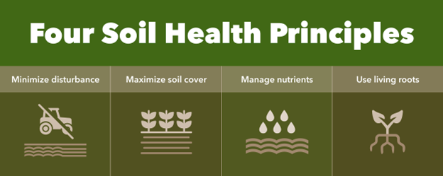 Make Your Soil Count | AgWeb
