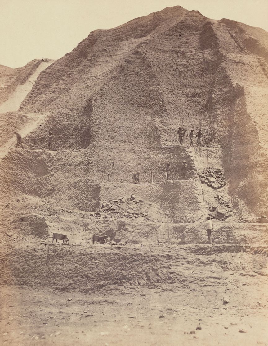 How Fertilizer Madness Sparked a Turd War and Turned Guano Into Gold ...