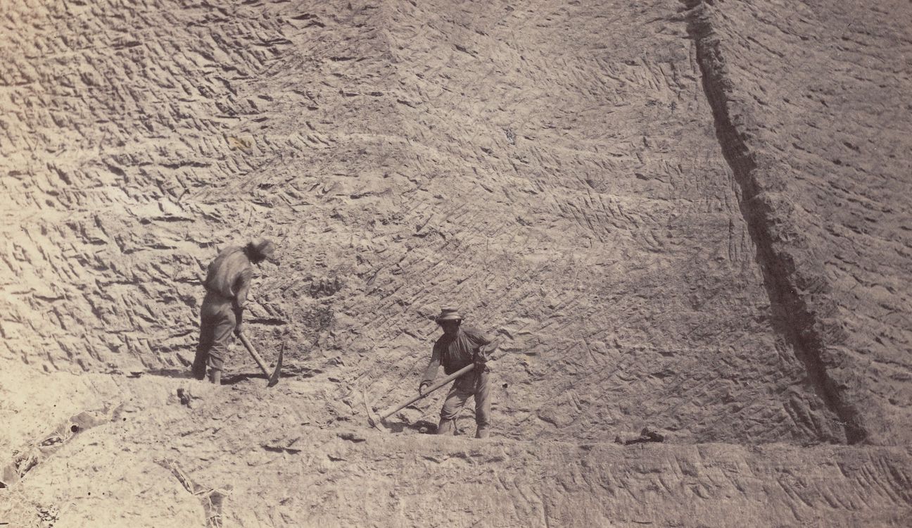 How Fertilizer Madness Sparked a Turd War and Turned Guano Into Gold ...