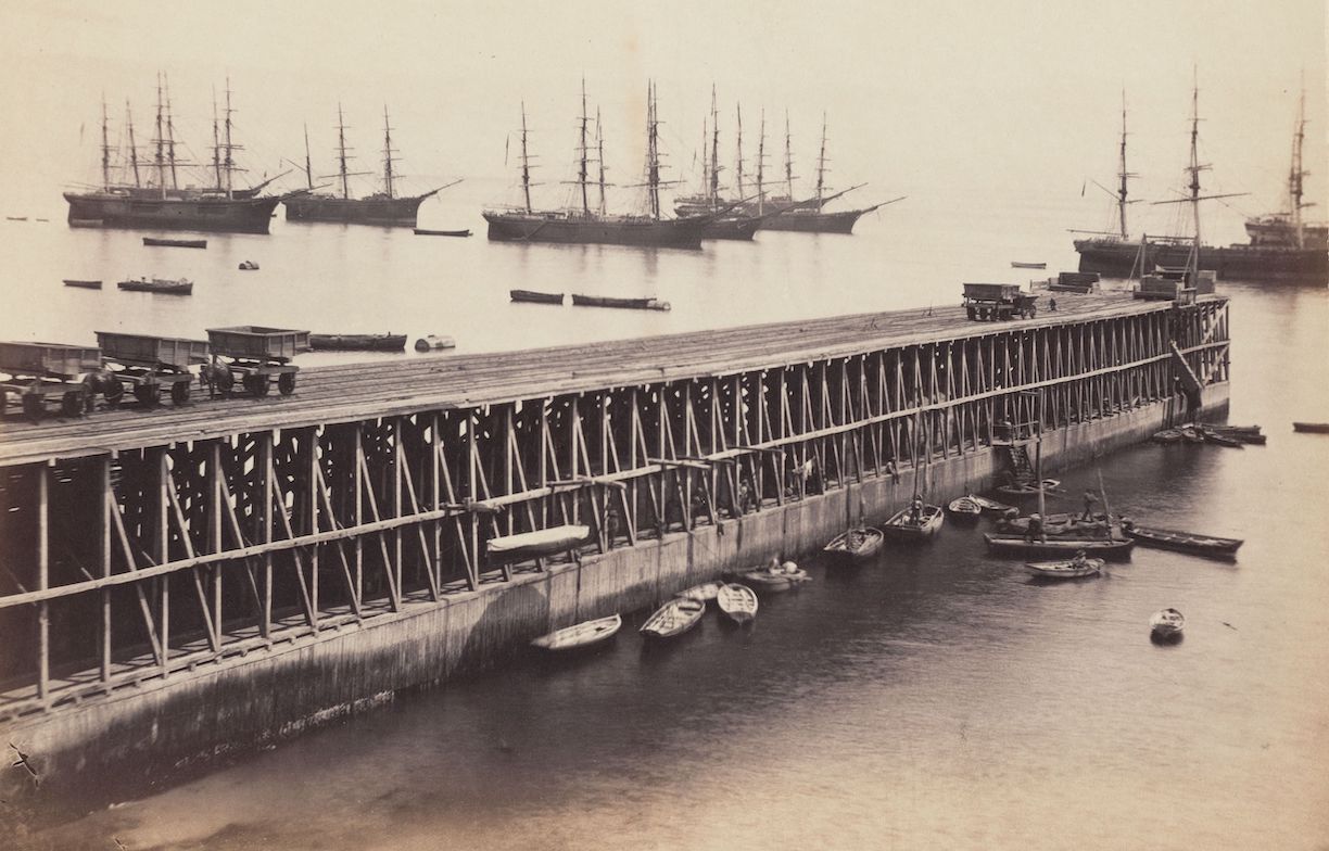 How Fertilizer Madness Sparked a Turd War and Turned Guano Into Gold ...