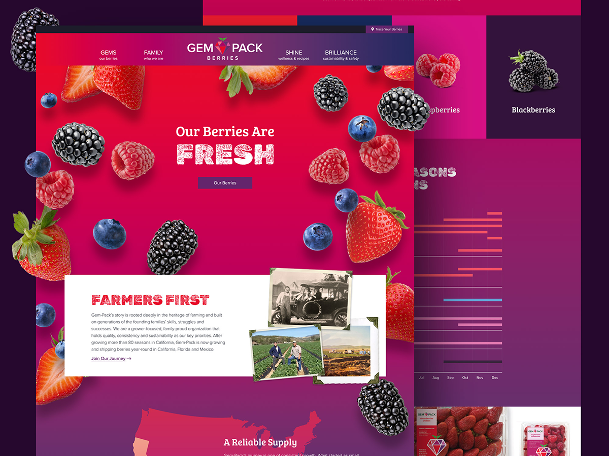 ‘Exceptional’ strawberry crop anticipated | The Packer