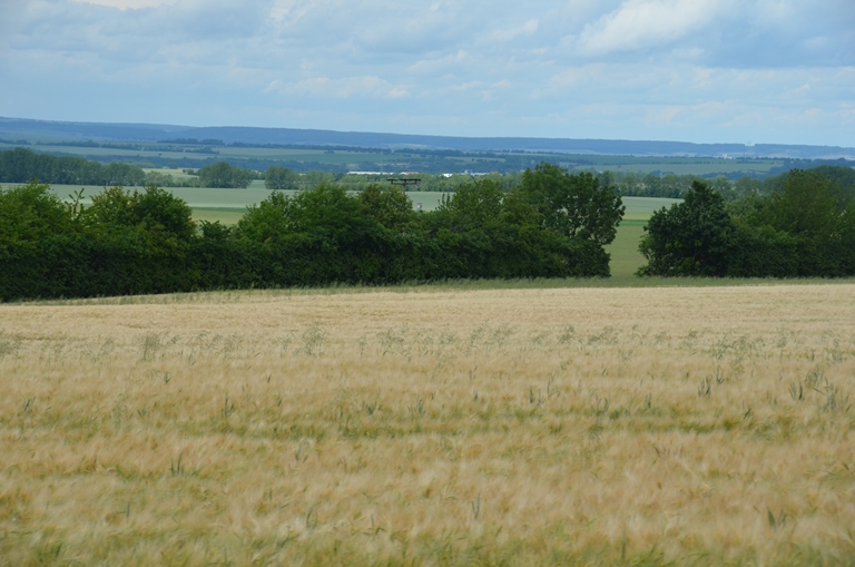 A Look at European Crop Production | AgWeb