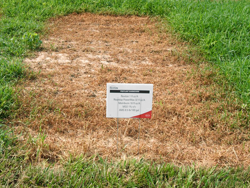 Designing the right fall burndown program | AgWeb