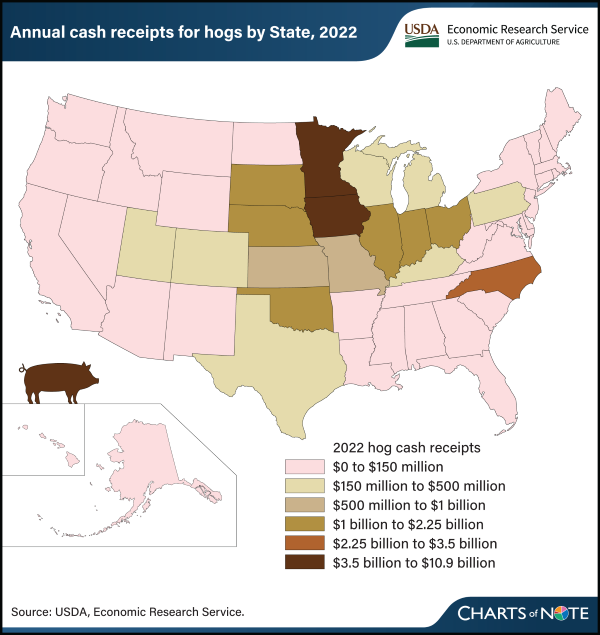 What are the Top 4 States in Hog Production in the U.S.? | Pork Business