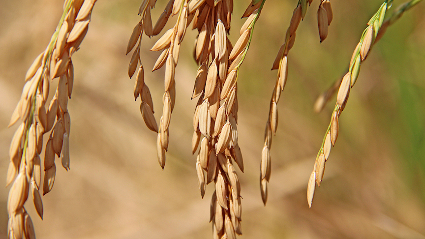 Hazard or Hysteria? Farmers Trigger Suburban Uproar | AgWeb