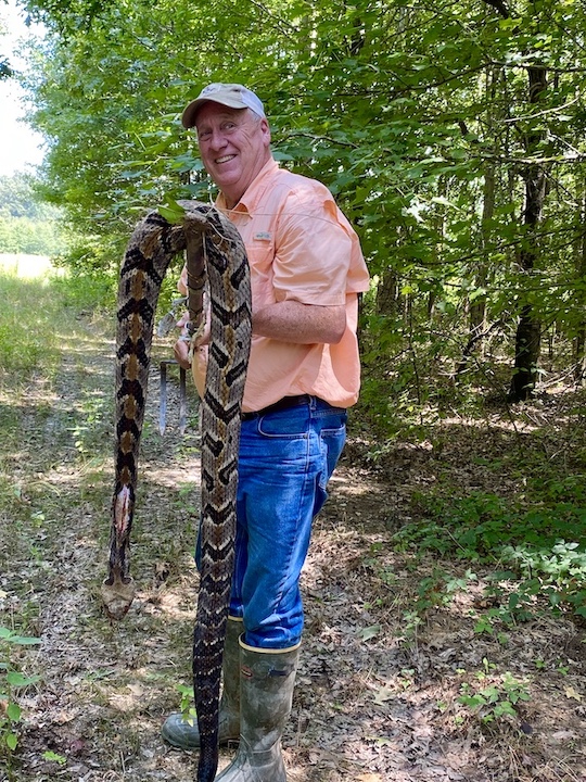 Monster Snake Repeat: Weeks Apart, Farmer Kills Two 6’-plus Timber ...