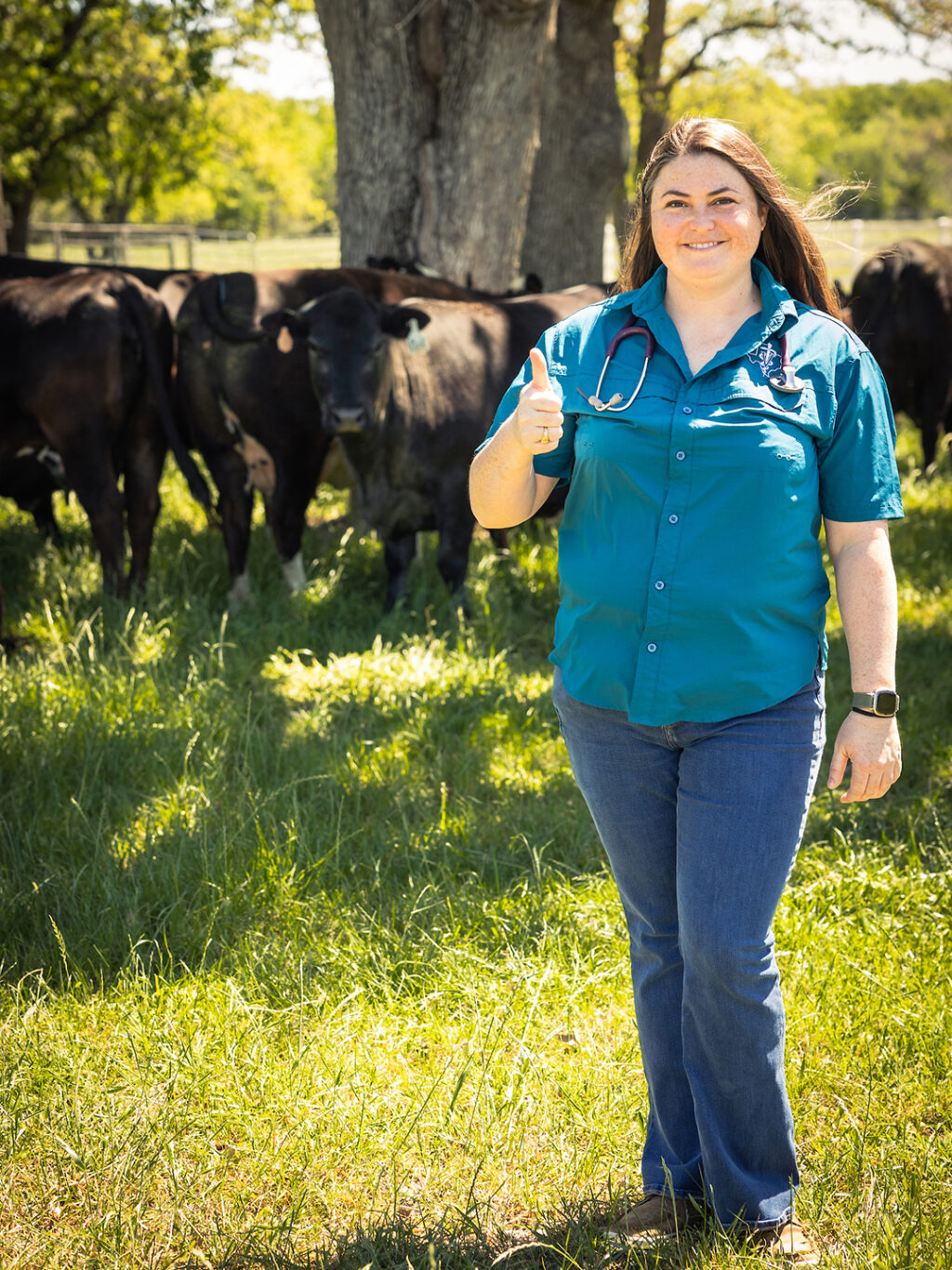 Historian turned Aggie Veterinarian Finds new Purpose in Cattle ...