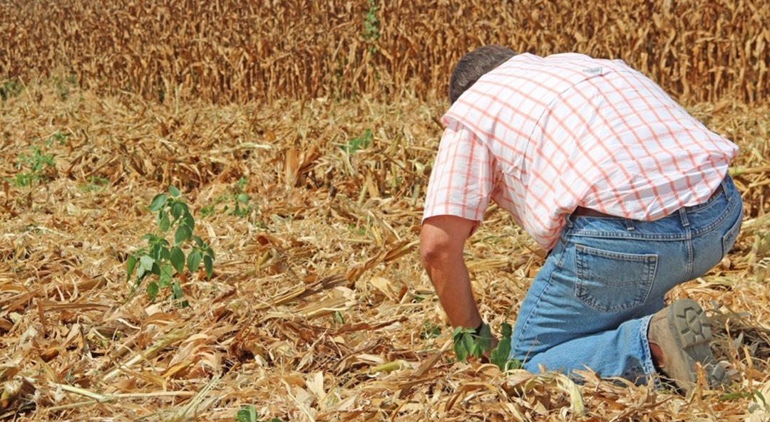 Swampbuster Challenged By Iowa Farmland Owner In Blockbuster Lawsuit ...