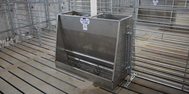 Progressive Show Pig Breeder Builds Unique Development Barn | Pork Business