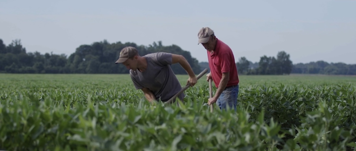 Farmer Survives 15 Years of Opioid Hell as Drug Crisis Ravages Rural ...
