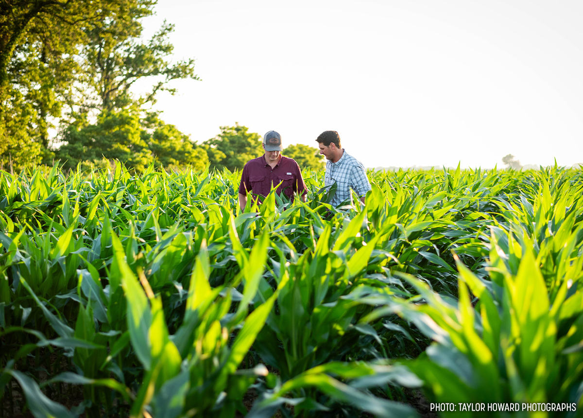 Family Friends Team Up To Pave a New Farming Path Forward | AgWeb