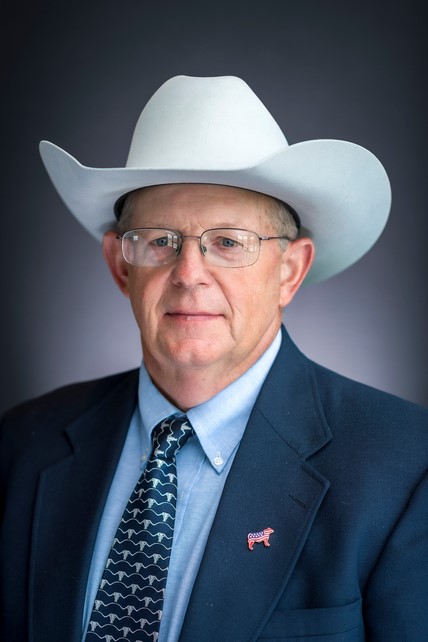 Comparing Beef With Plant-Based Alternative Proteins: What are the ...