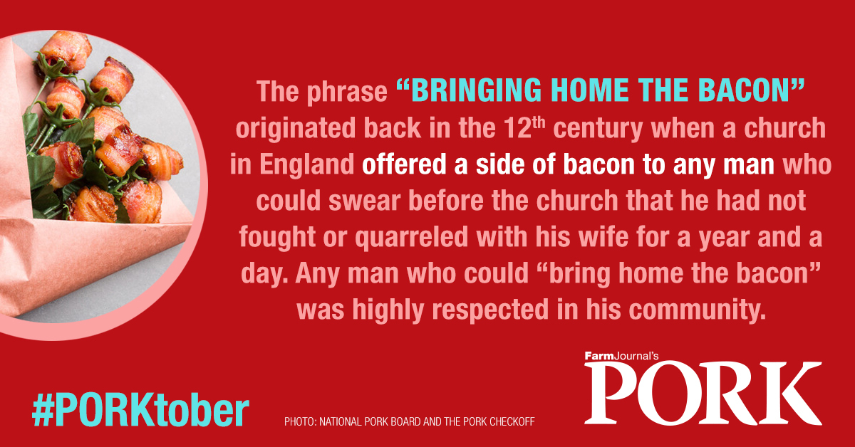 PORKtober Wrap-Up: Top 6 Pig Facts to Share | Pork Business