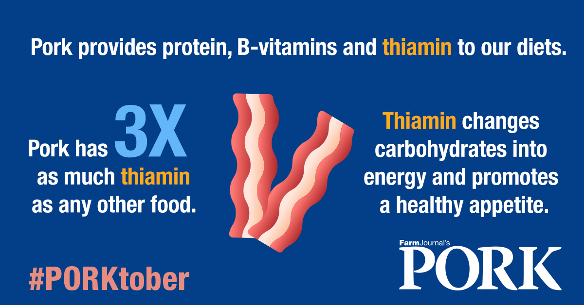 PORKtober Wrap-Up: Top 6 Pig Facts to Share | Pork Business