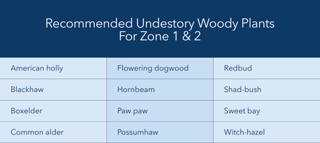 3 Steps to Planting a Tree Buffer | AgWeb