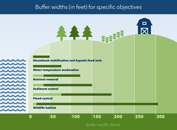 Protect Your Land with a Streamside Buffer | AgWeb