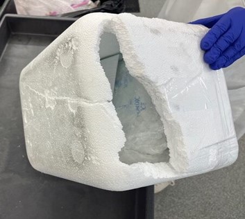 The Good, the Bad, and the Ugly: How to Properly Package Samples for ...