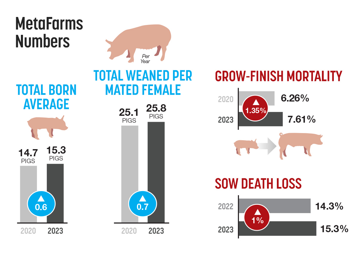 Focus on the Basics By Frequently Monitoring Data | Pork Business