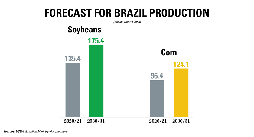 Brazilian Agriculture: Room to Grow | AgWeb