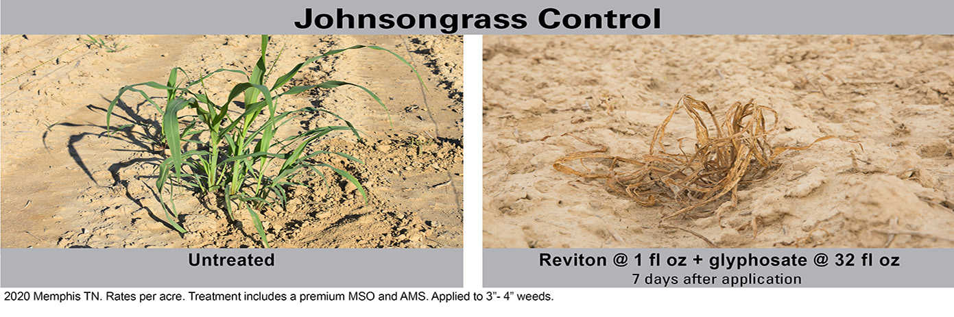 Reviton Herbicide: A Revolutionary Step Change for Preplant Burndown ...